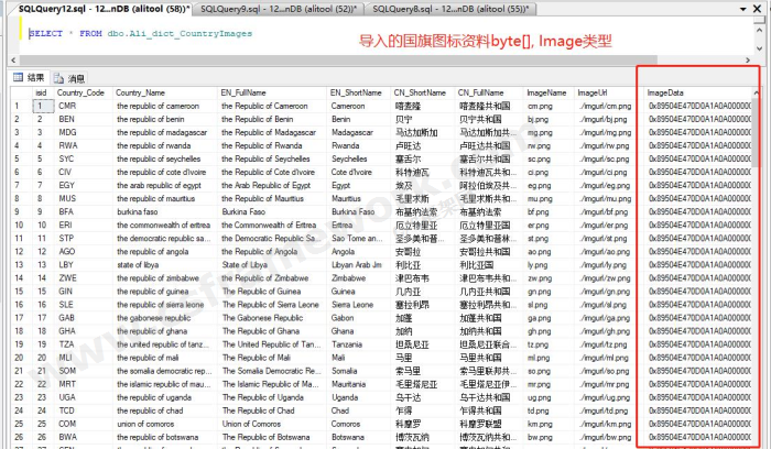 CSFramework.COM原创：全球国家名称列表国旗图标库导入程序（C#+VS2015)|C/S框架网