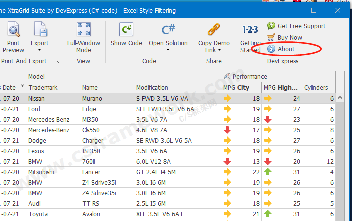 DevExpress正版授权离线注册操作步骤|C/S框架网